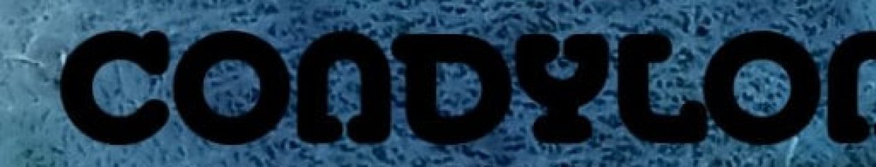 Quest Ce Quun Condylome Et Comment Le Traiter Carenovatemag Images